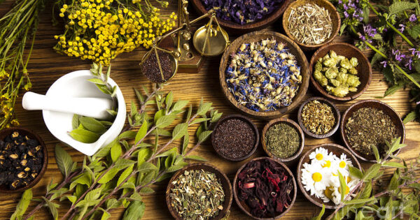 How and which Medicinal Plants improve digestion?